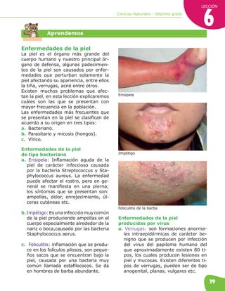 7° CCNN Libro de Estudiante.pdf
