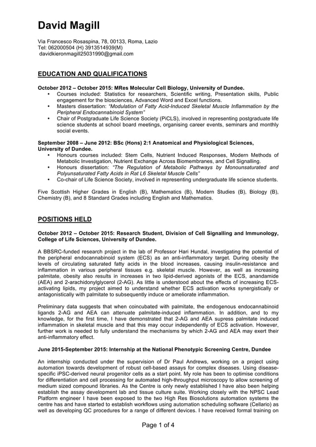 David Magill CV 07_05_2016 | PDF