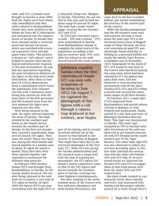 Sariska_The reign of Tigers_STRIPES | PDF