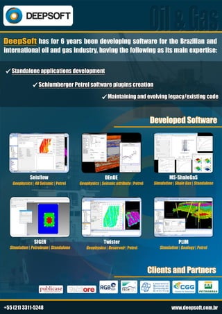 DeepSoft - Portfolium - Oil and Gas | PDF