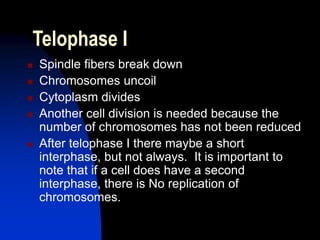 [7] CELL CYCLE _MITOSIS & MEIOSIS.ppt