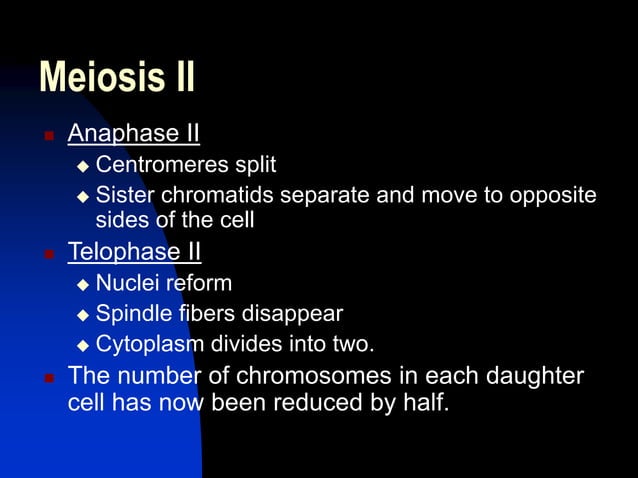 [7] CELL CYCLE _MITOSIS & MEIOSIS.ppt
