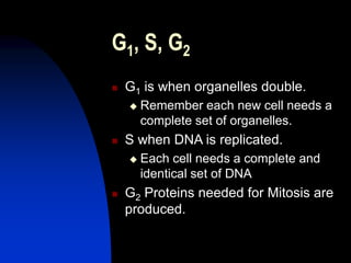 [7] CELL CYCLE _MITOSIS & MEIOSIS.ppt