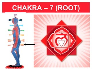 7 chakras ppt | PPT