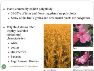 7 chromosomal aberrations | PPTX