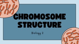 7 Chromosome Structure.pdf