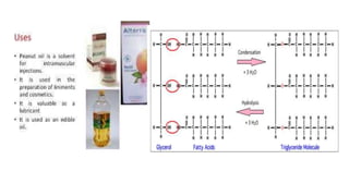 7 Classification Of Lipids.pptx