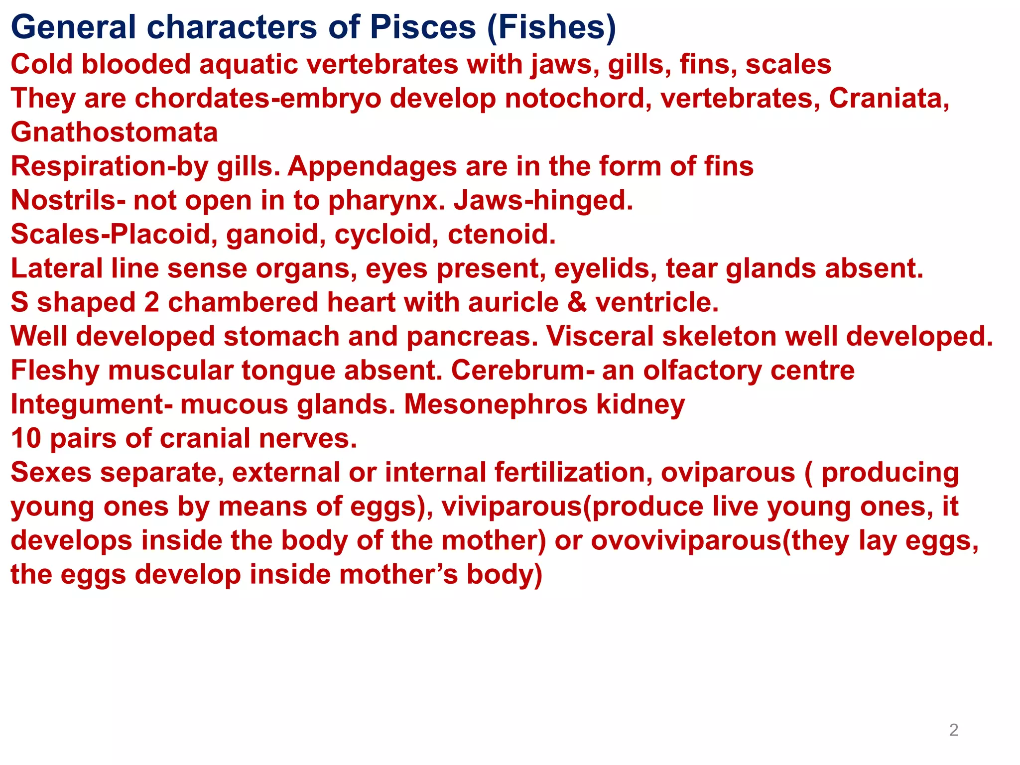 7 Classification of Pisces.ppt
