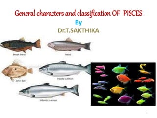 7 Classification of Pisces.ppt