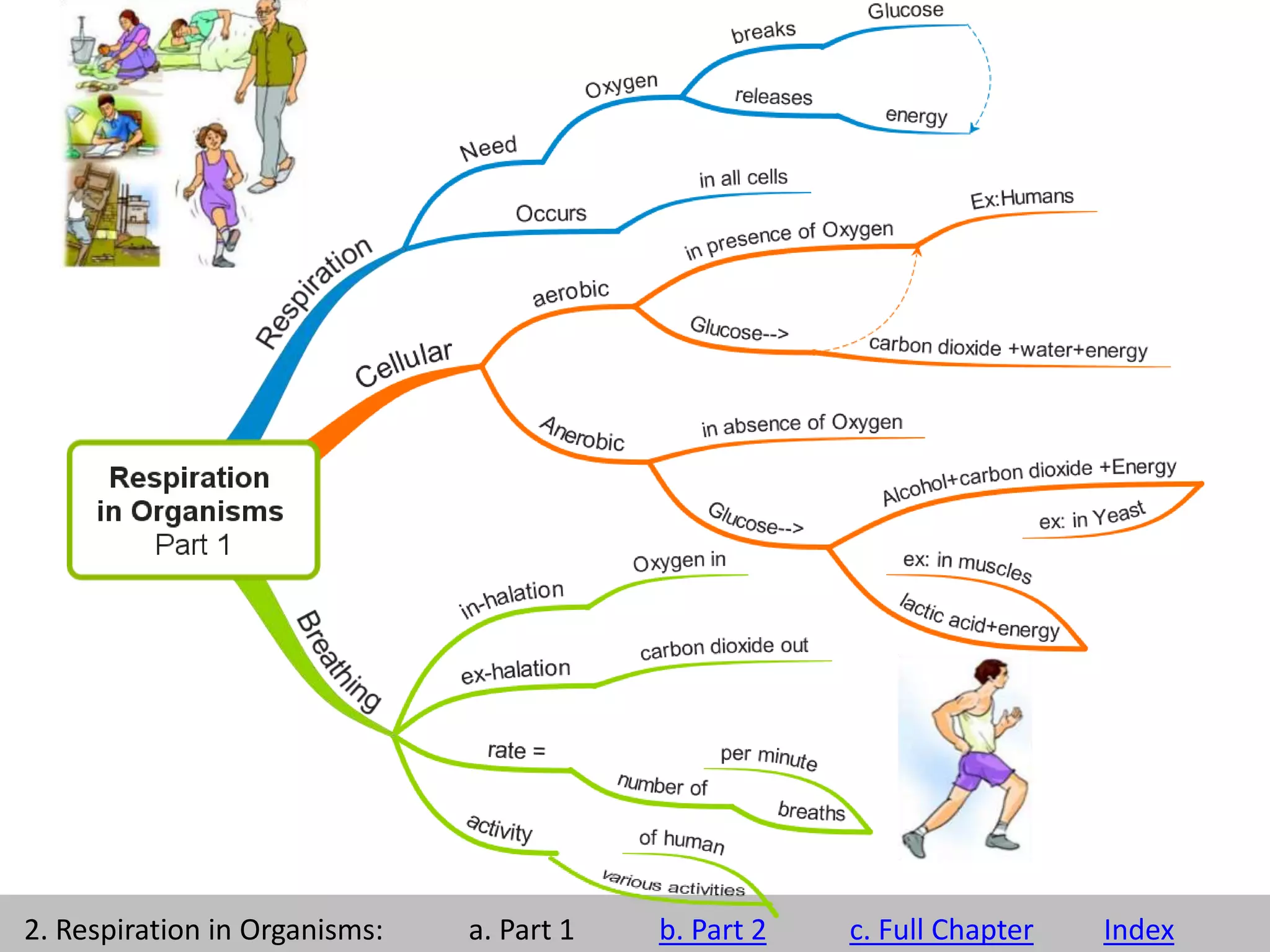 7 class science sample mindmaps | PPTX