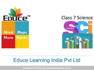 7 class science sample mindmaps | PPTX