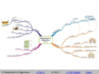 7 class science sample mindmaps | PPTX
