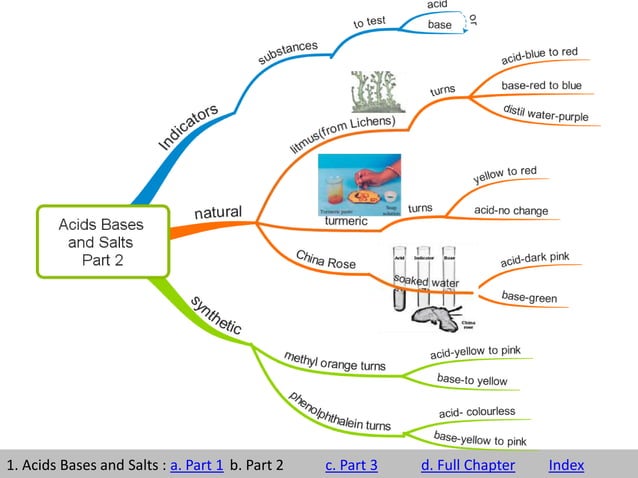 7 class science sample mindmaps | PPTX