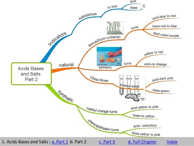 7 class science sample mindmaps