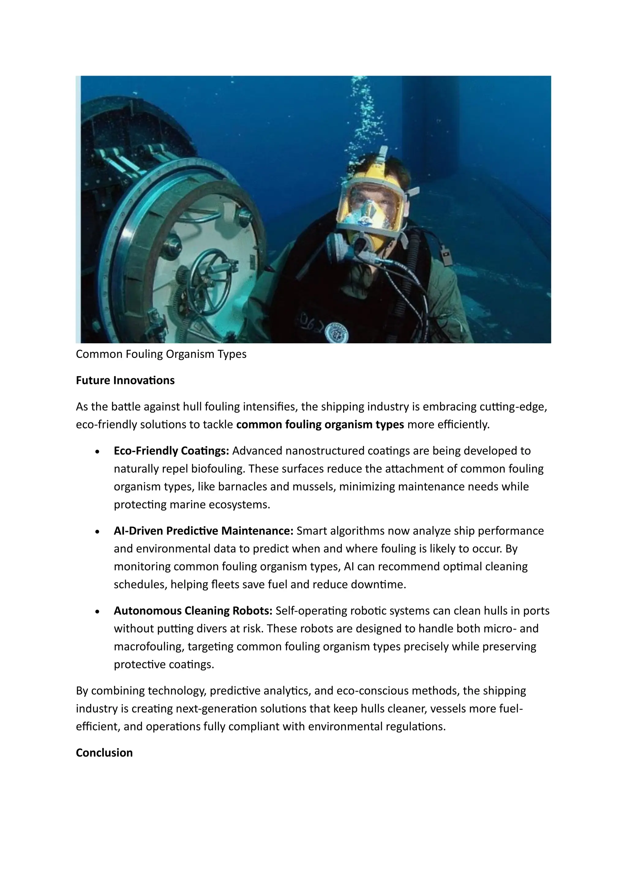 7 Common Fouling Organism Types Hurting Ship Performance - Marine Super ...