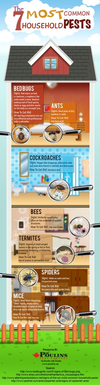 7 common household pests | PDF