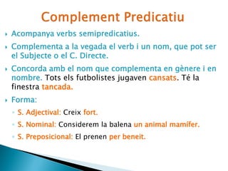 7 complem verb | PDF