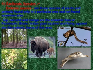 7conservation of plants and animals | PPT