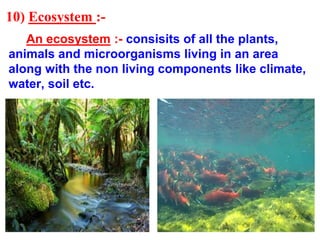 Chapter7_conservationofplantsandanimals_CBSE_Class8 | PPT