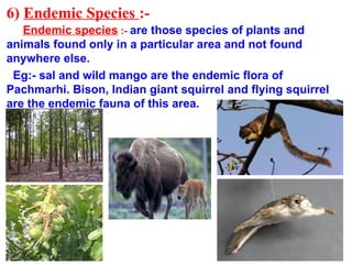 7conservationofplantsandanimalsspicies.ppt