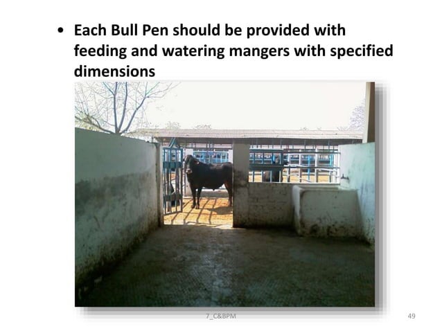 7_Construction of livestock houses (sheds).pptx