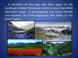 7 continents | PPTX