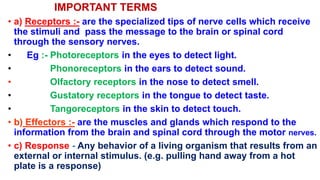 7 Control and Coordination for class X 1.pptx