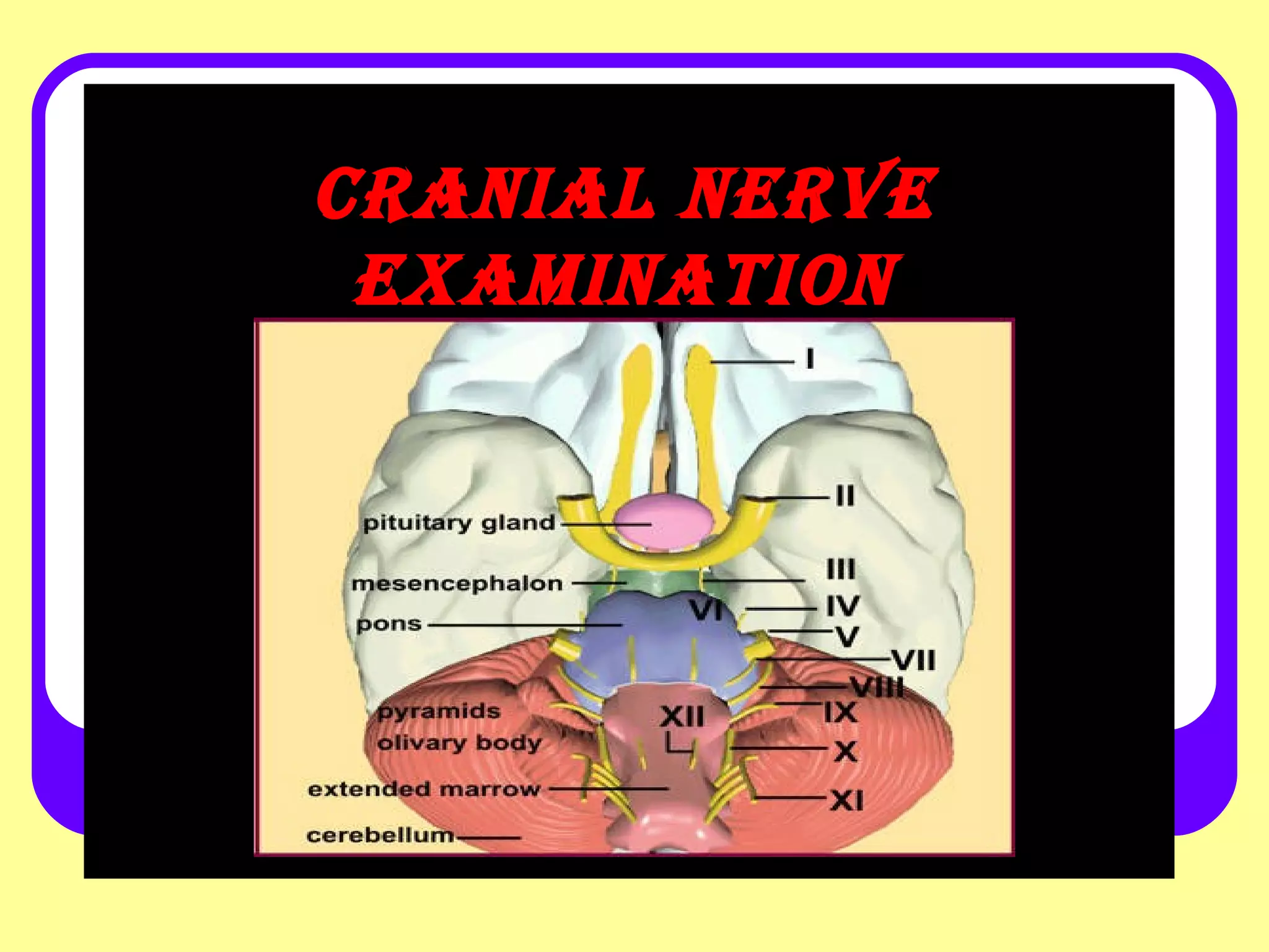 Cranial nerve examination | PPT