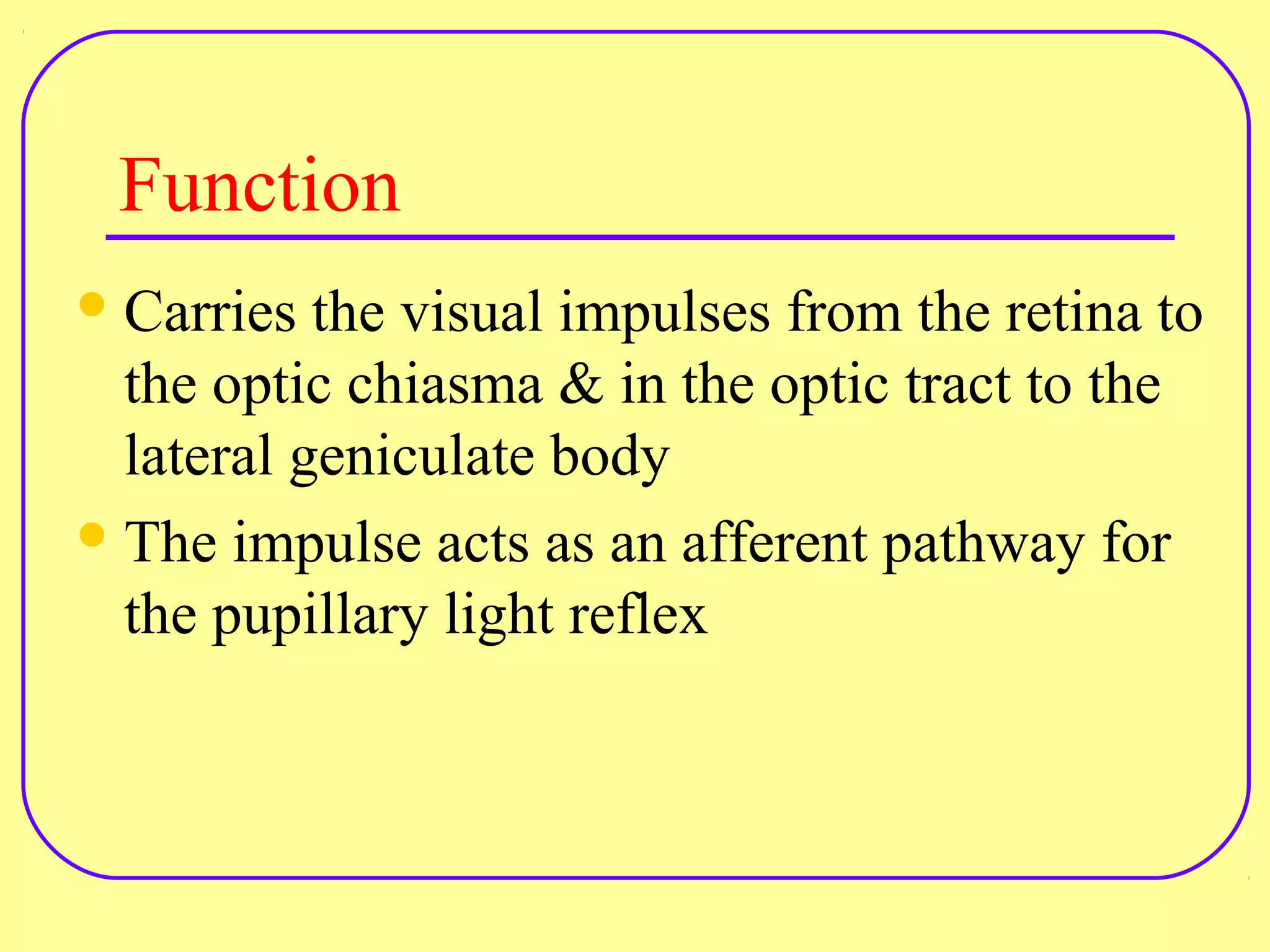 Cranial nerve examination | PPT