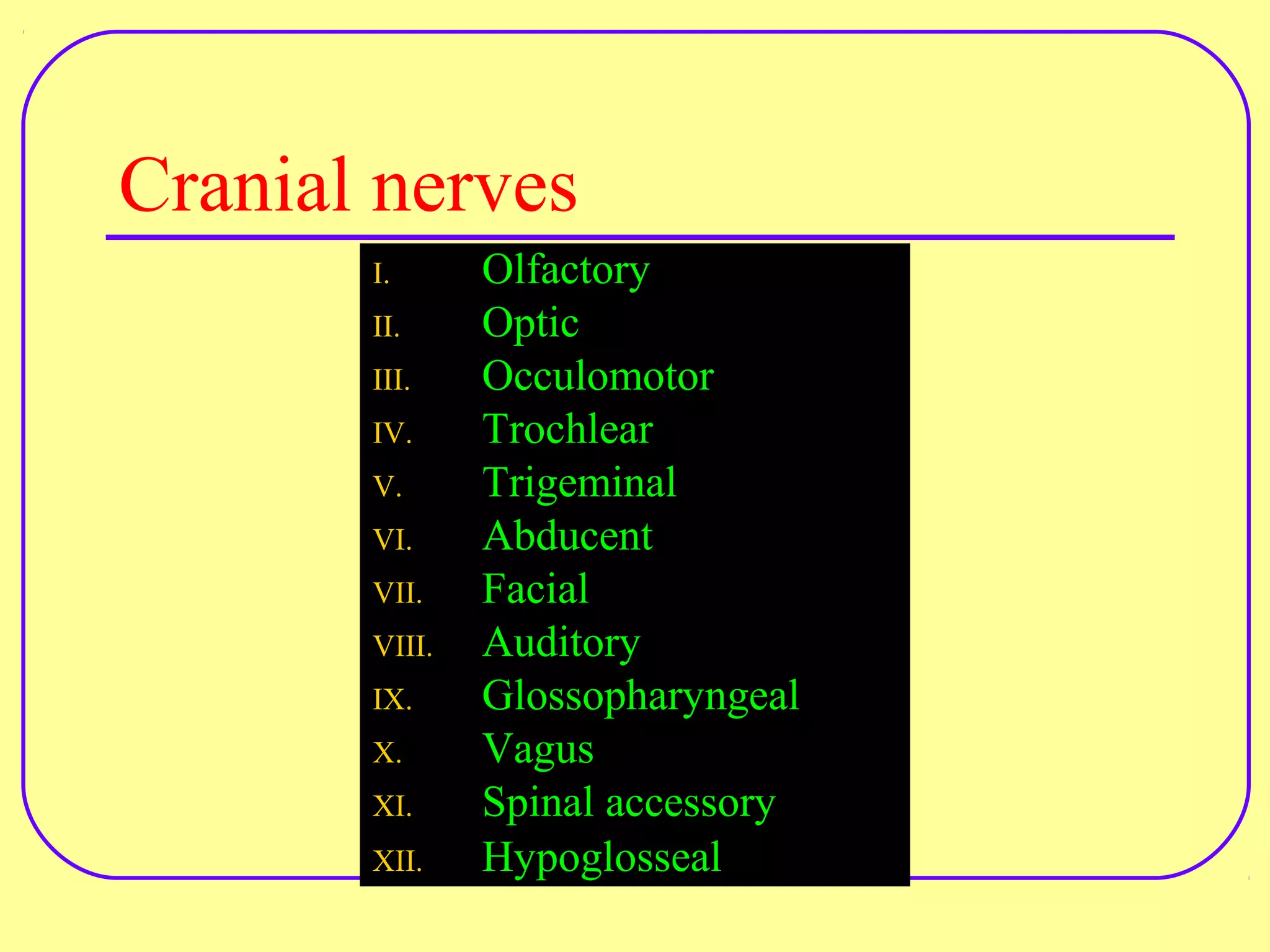 Cranial nerve examination | PPT