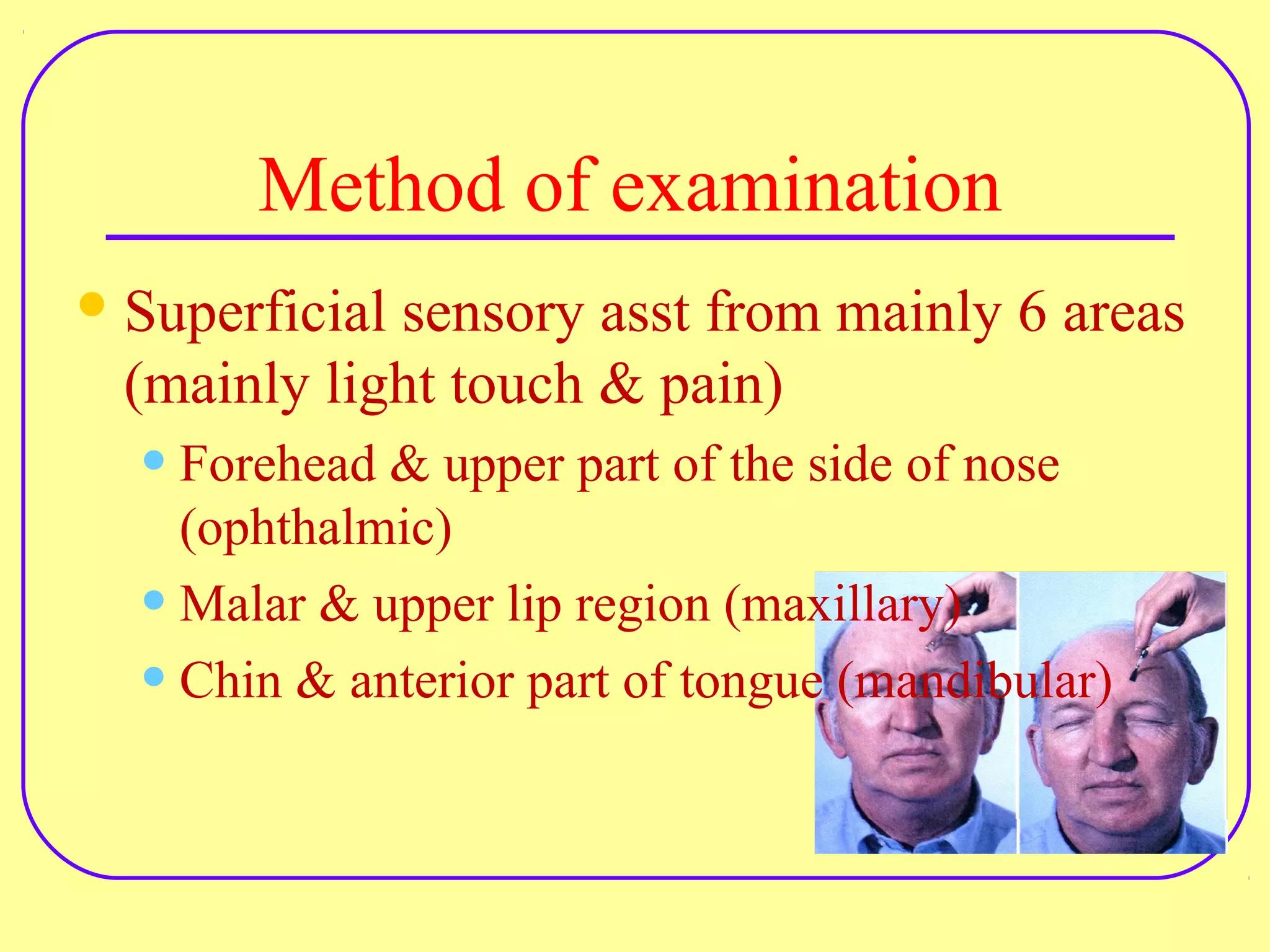 Cranial nerve examination | PPT