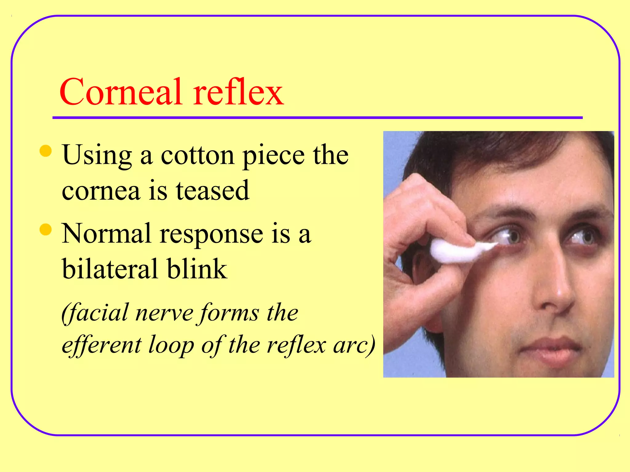 Cranial nerve examination | PPT