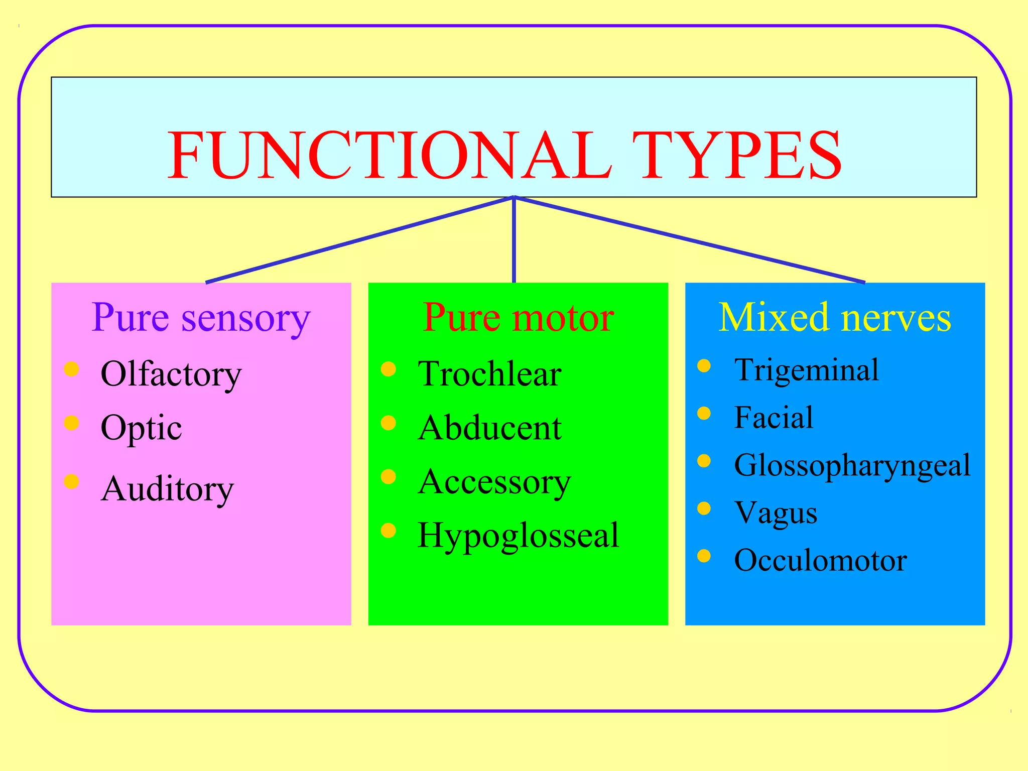 Cranial nerve examination | PPT