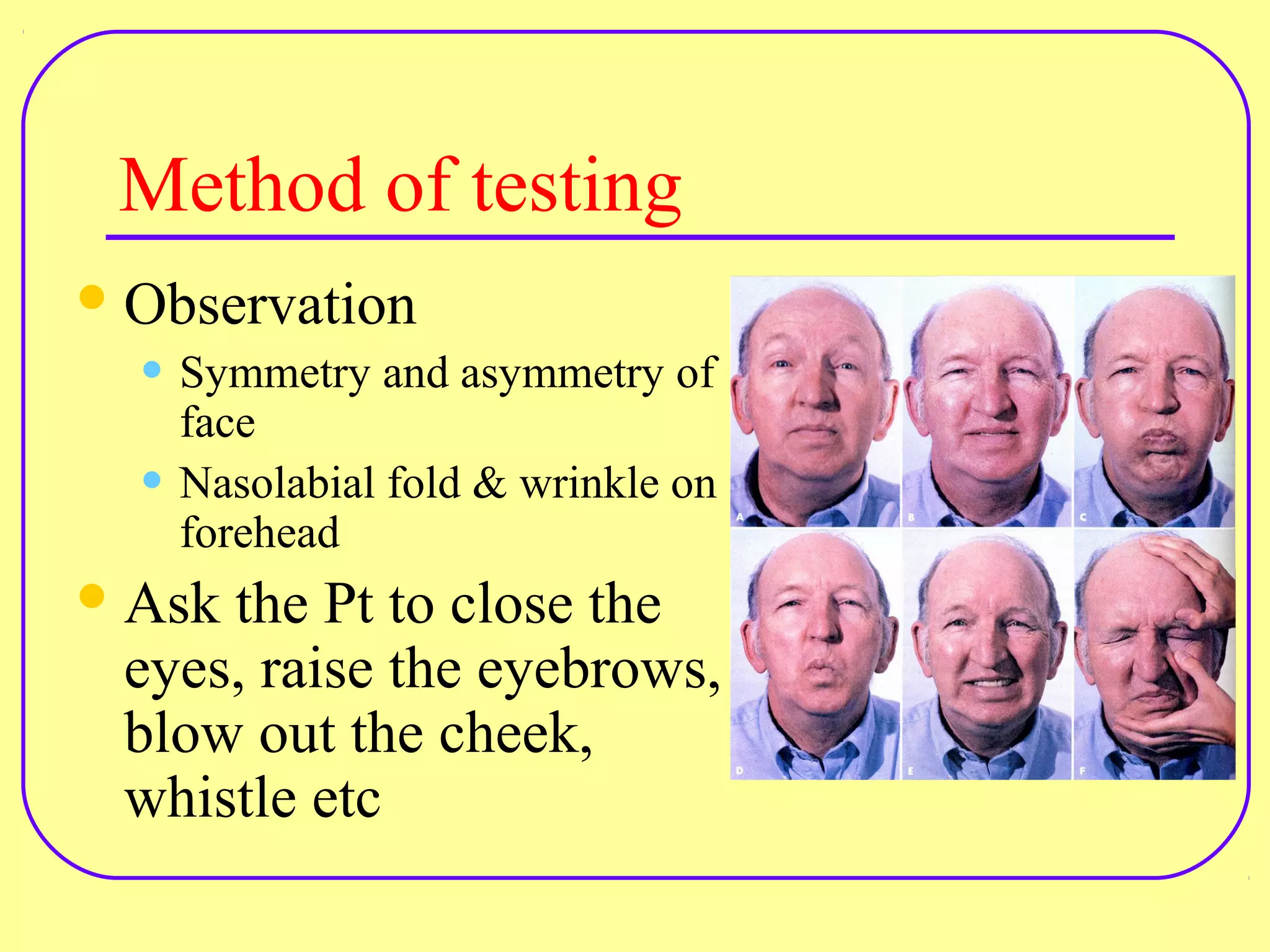 Cranial nerve examination | PPT
