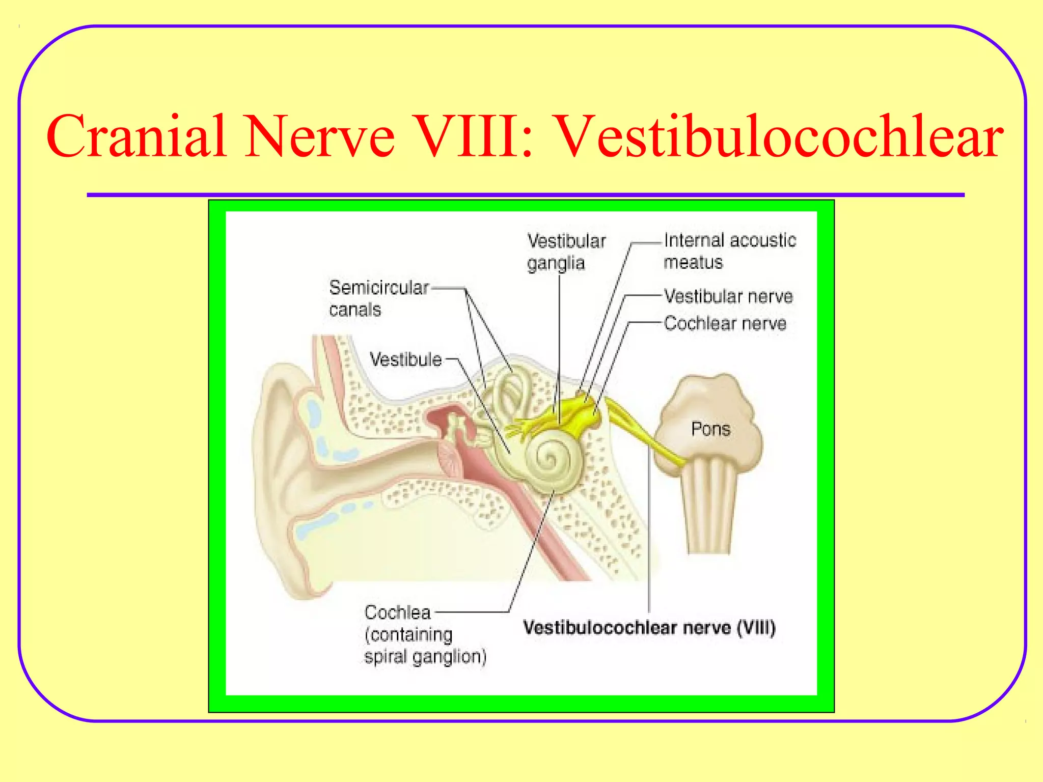 Cranial nerve examination | PPT