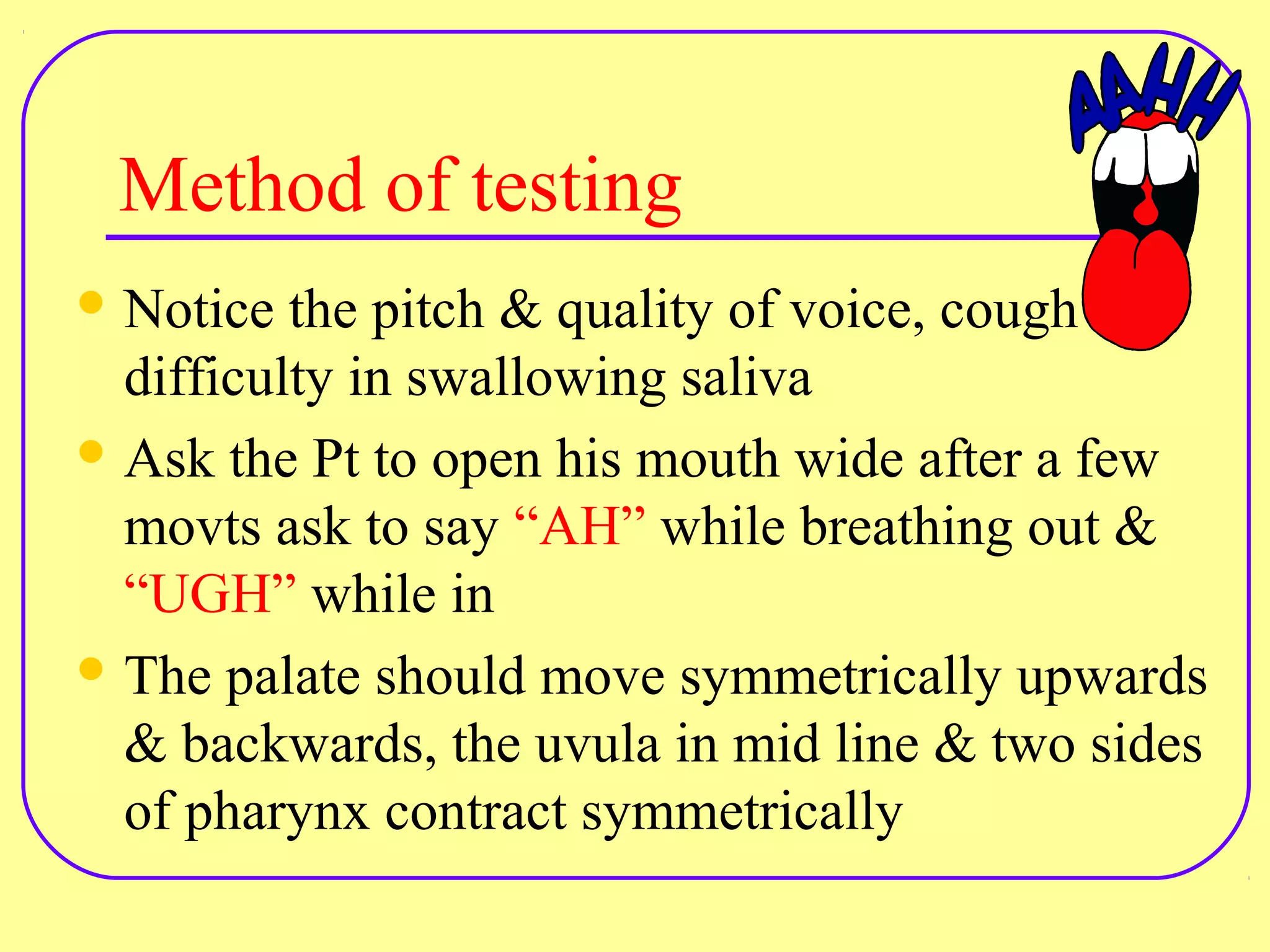 Cranial nerve examination | PPT