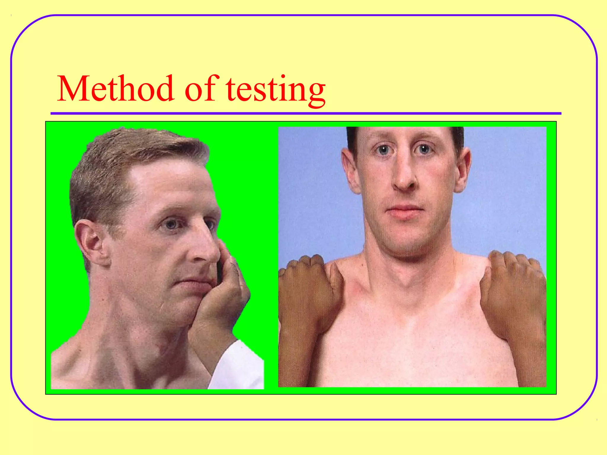 Cranial nerve examination | PPT