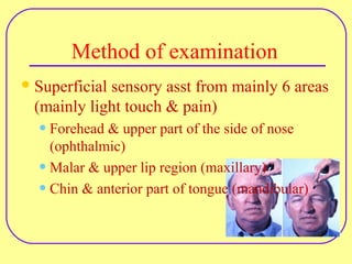 Cranial nerve examination | PPT