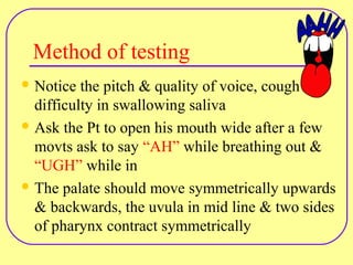 Cranial nerve examination | PPT