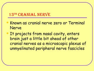 Cranial nerve examination | PPT