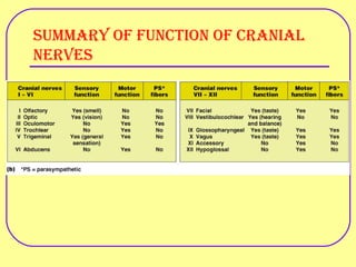Cranial Nerve Testing Chart
