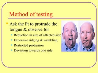 Cranial nerve examination | PPT