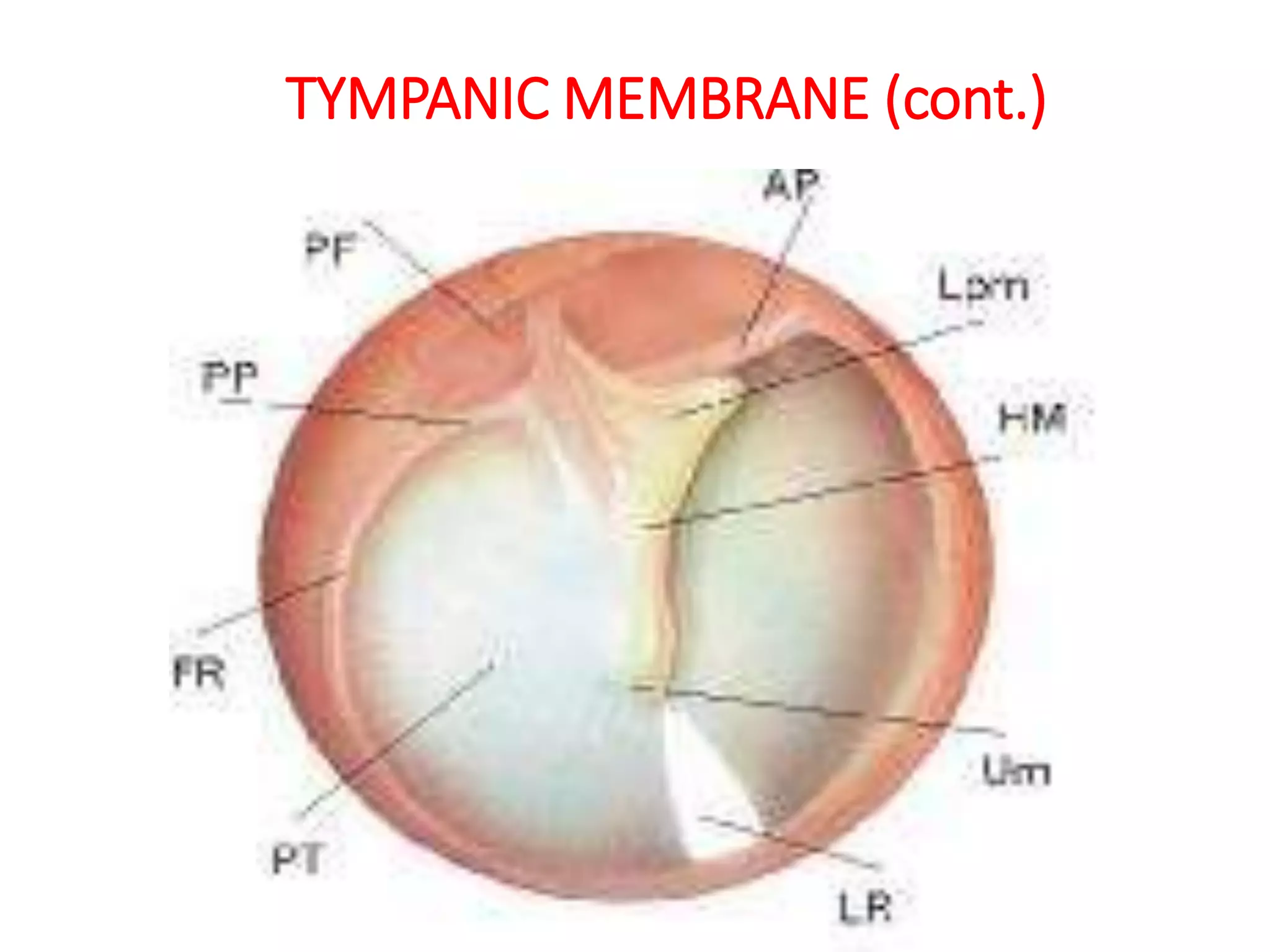 CHRONIC SUPPURATIVE OTITIS MEDIA (TUBOTYMPANIC) | PPT