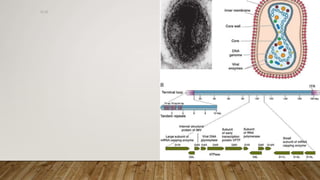 !7 cy312 unit -ii -pox -mmb | PPT