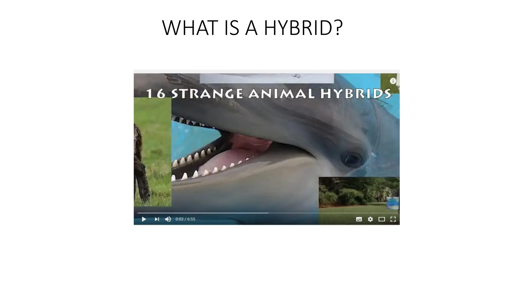 7D-CLASSIFICATION.pptx classification pt | PPTX