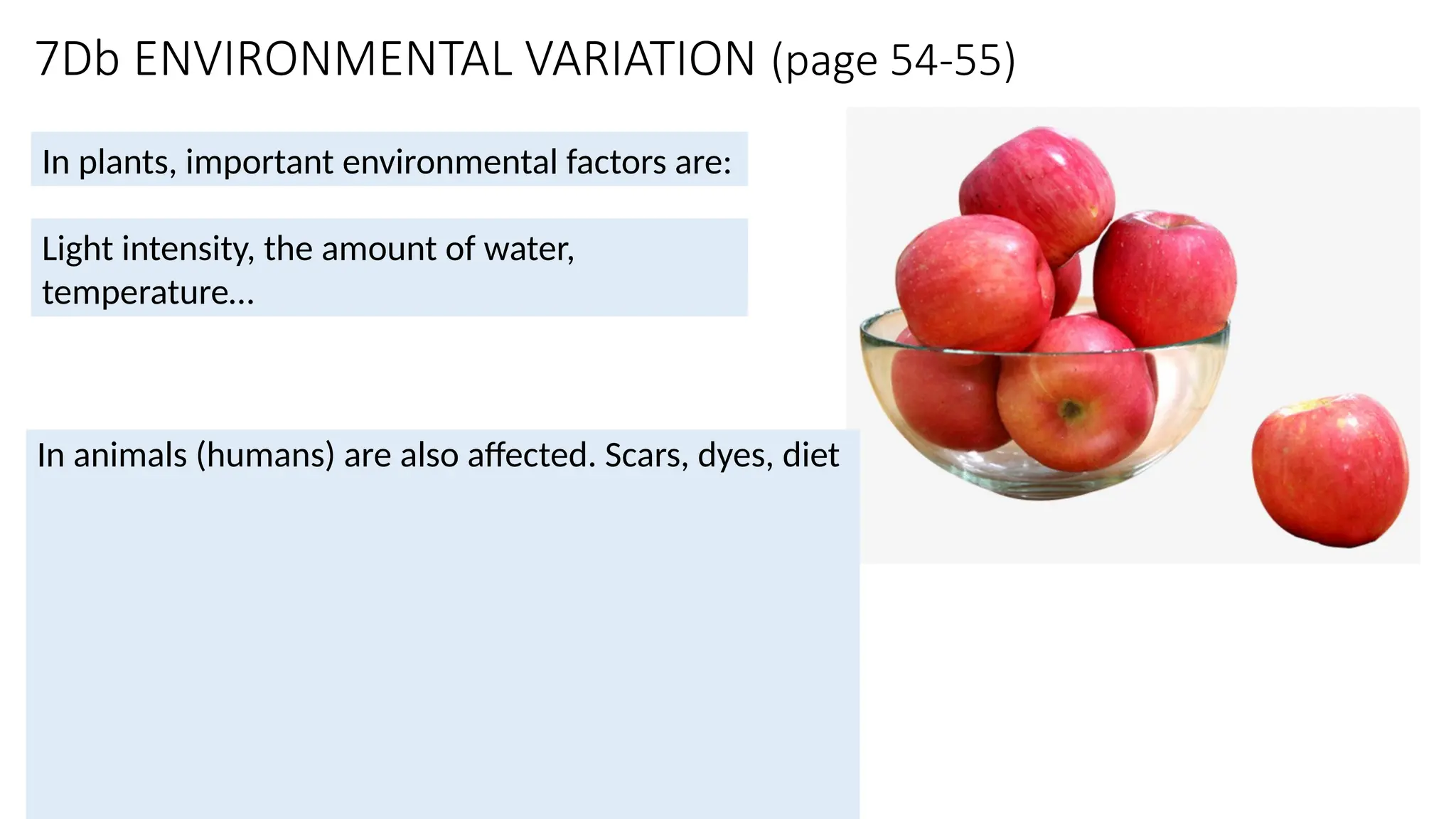7D-CLASSIFICATION.pptx classification pt | PPTX