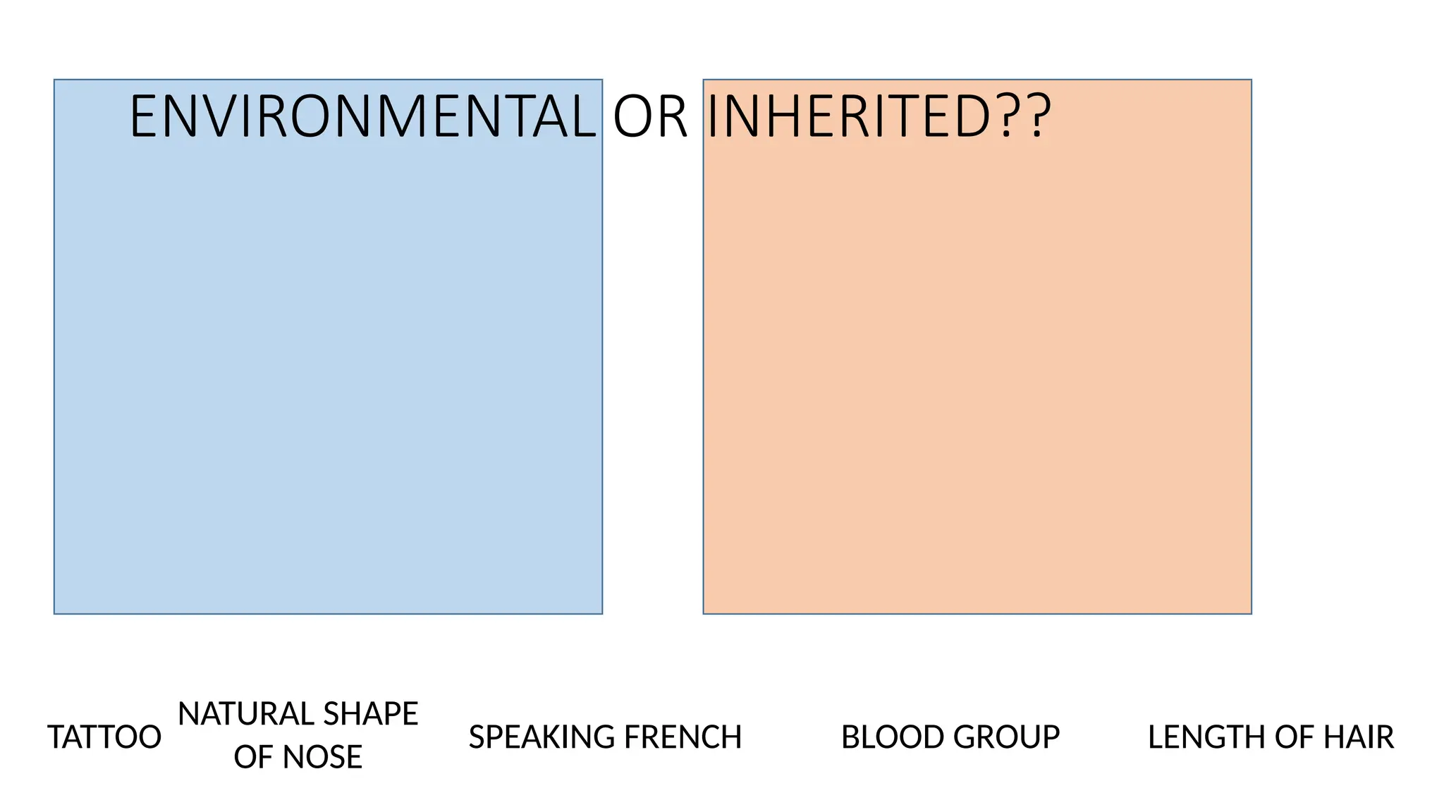 7D-CLASSIFICATION.pptx classification pt | PPTX