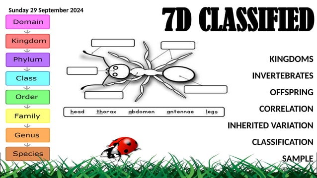 7D-CLASSIFICATION.pptx classification pt | PPT