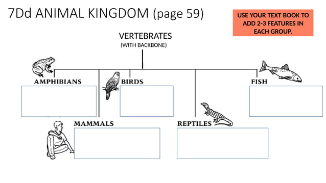 7D-CLASSIFICATION.pptx classification pt | PPT