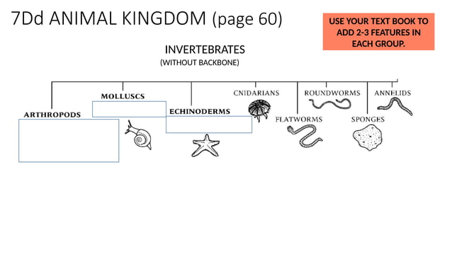 7D-CLASSIFICATION.pptx classification pt | PPT